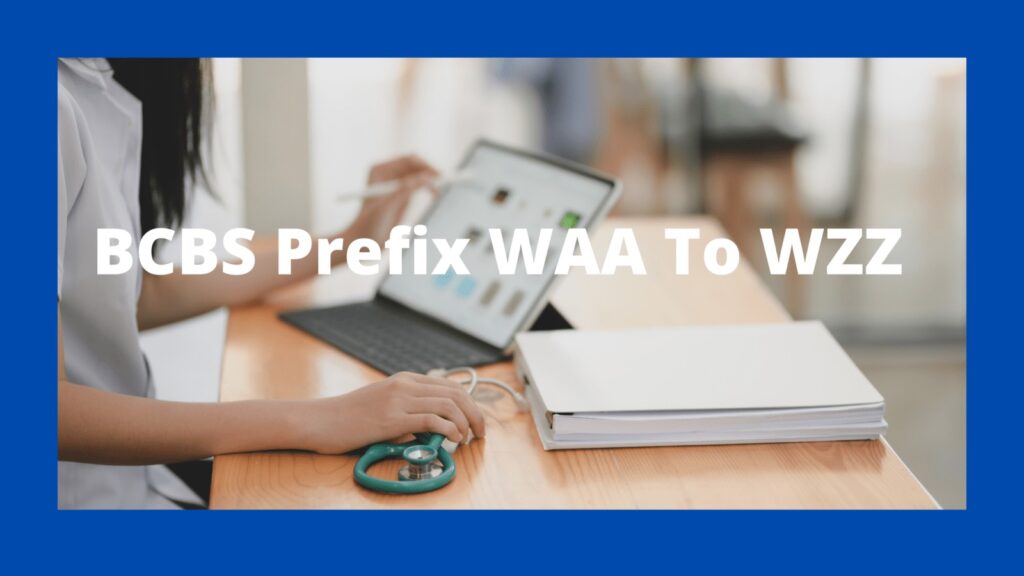 BCBS Alpha Prefix WAA to WZZ (2025)