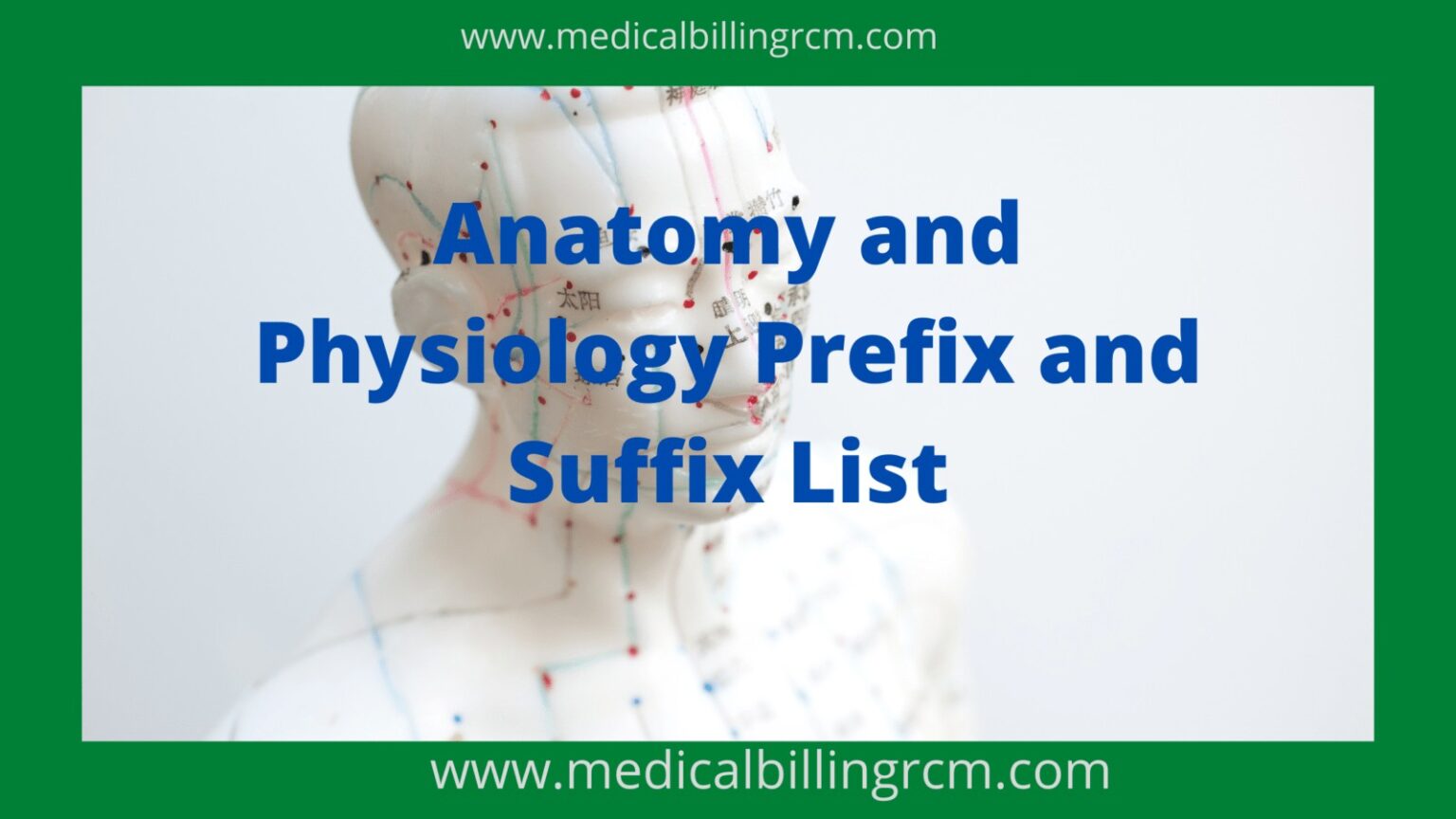 Anatomy and Physiology Prefix and Suffix List (2025)