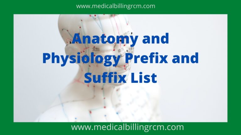 Anatomy and Physiology Prefix and Suffix List (2025)