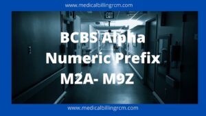 BCBS Alpha Numeric Prefix List Archives – Medical Billing RCM