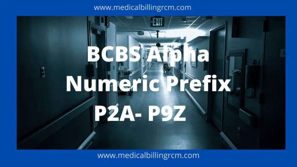 BCBS Alpha Numeric Prefix List Archives – Medical Billing RCM
